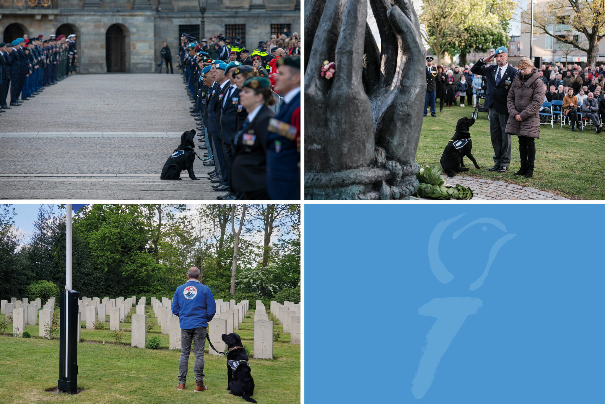 Het verhaal achter de foto: PTSS-Hulphond - Hulphond Nederland Het verhaal achter de foto: PTSS-Hulphond - Hulphond Nederland