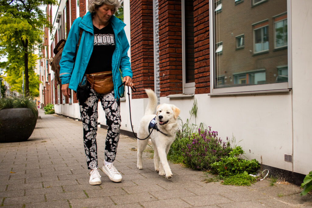 Een hulphond is welkom, altijd en overal - Hulphond Nederland