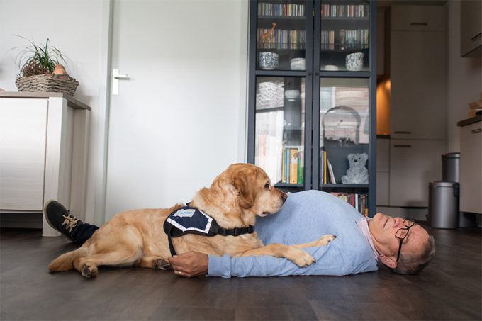 Alles over Epilepsie-Hulphonden - Hulphond Nederland
