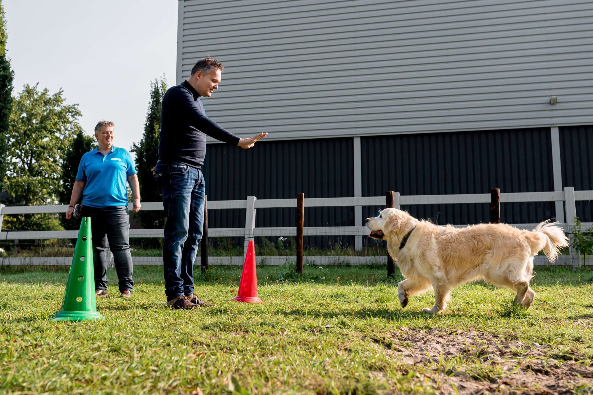 Dierondersteunde therapie - Hulphond Nederland