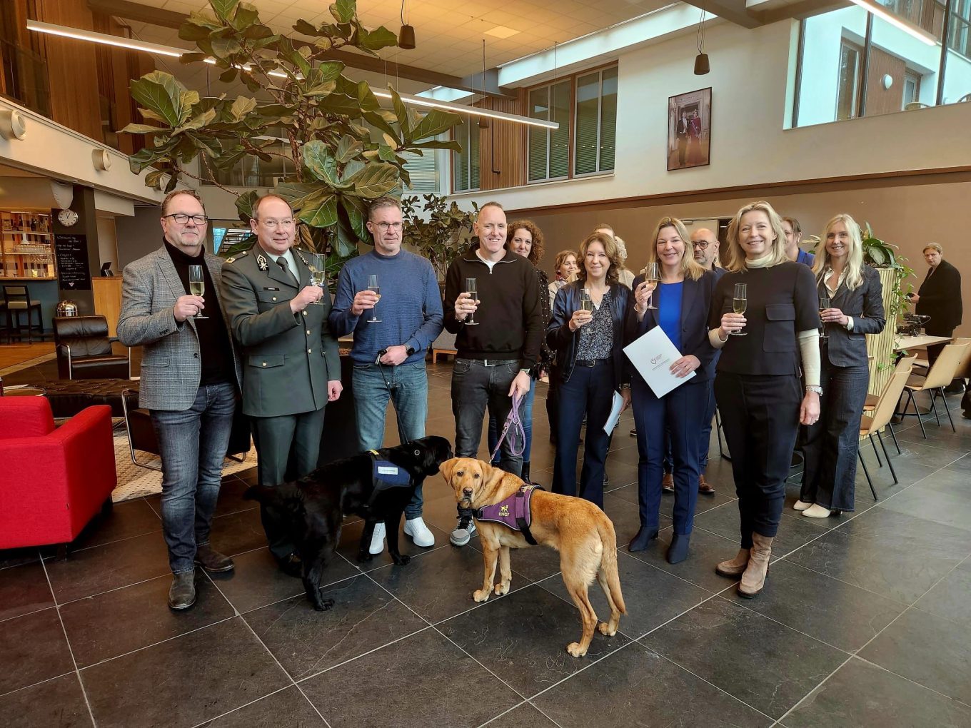 Defensie erkent de inzet van assistentiehonden bij PTSS - Hulphond ...